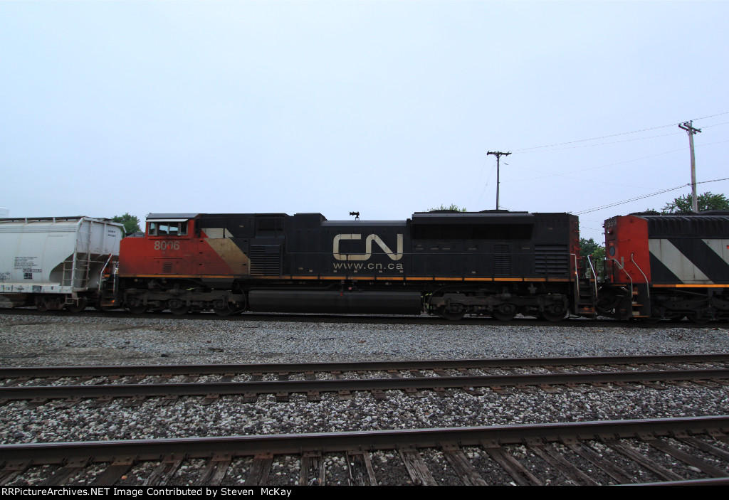 CN 8006